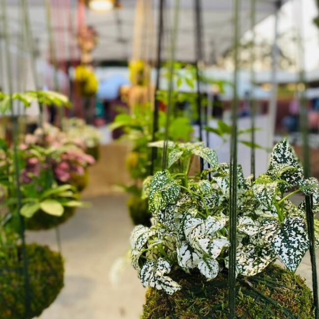 Melrose Trading Post | A curated selection of handcrafted artisan goods ...
